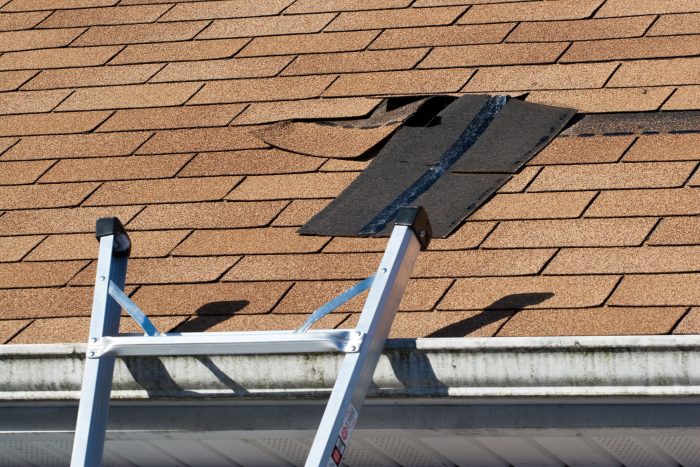 What Does Wind Damage Look Like on a Roof? (And Who To Contact)